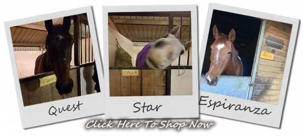 Stable Name Plates | Horse Name Plates | Kirkby Stringer